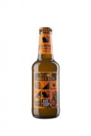 Angebot Alnatura Aqua Monaco Ginger Beer Alnatura